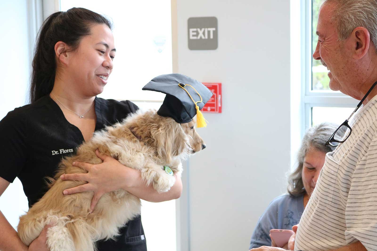 Our Values | Southeast Veterinary Neurology