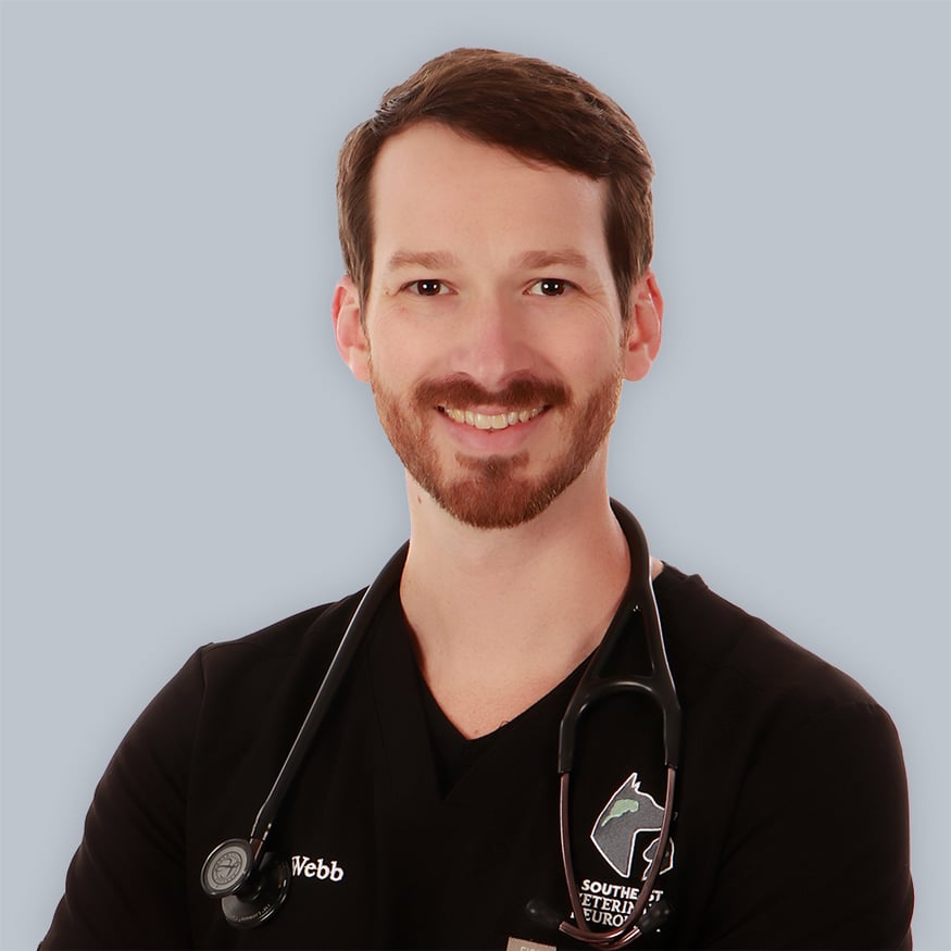 Our Neurologists in South Florida and Virginia Beach | Southeast ...