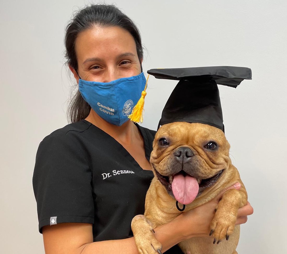 Pet Spinal Surgery in South Florida and Virginia Beach