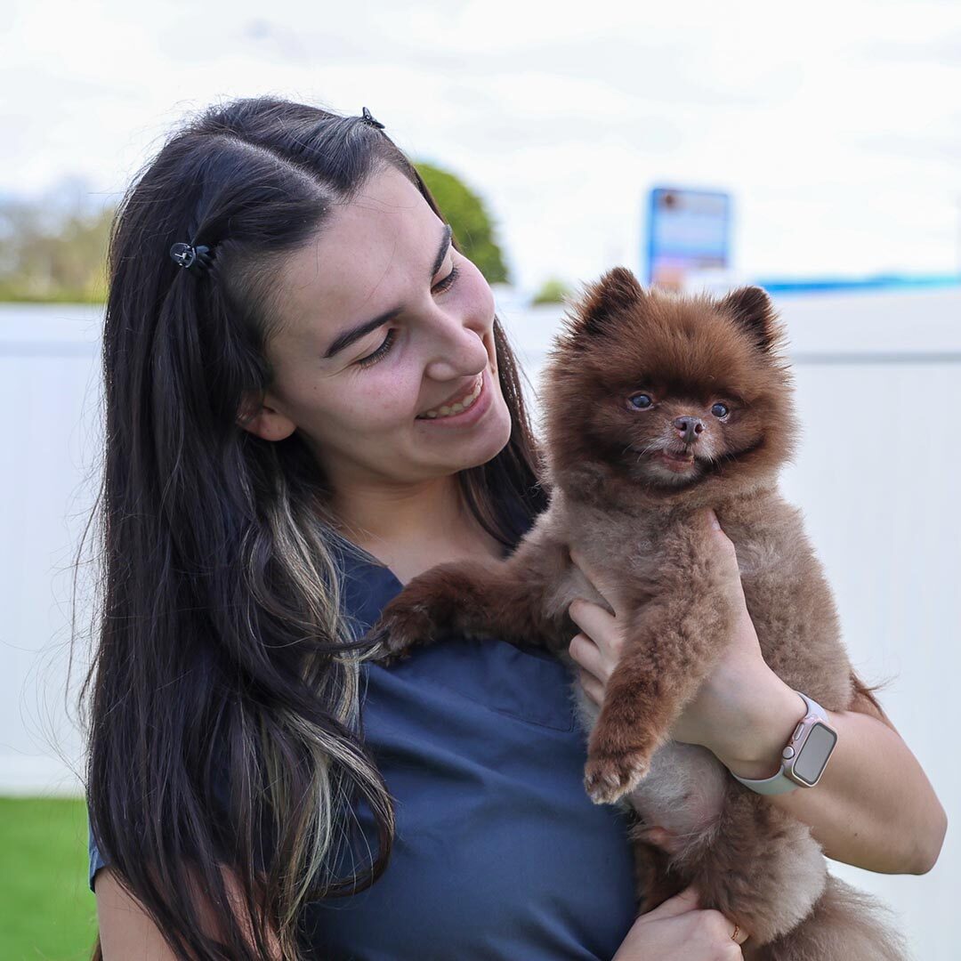 Subluxação atlantoaxial (AA) em cães e gatos no sul da Flórida e em ...