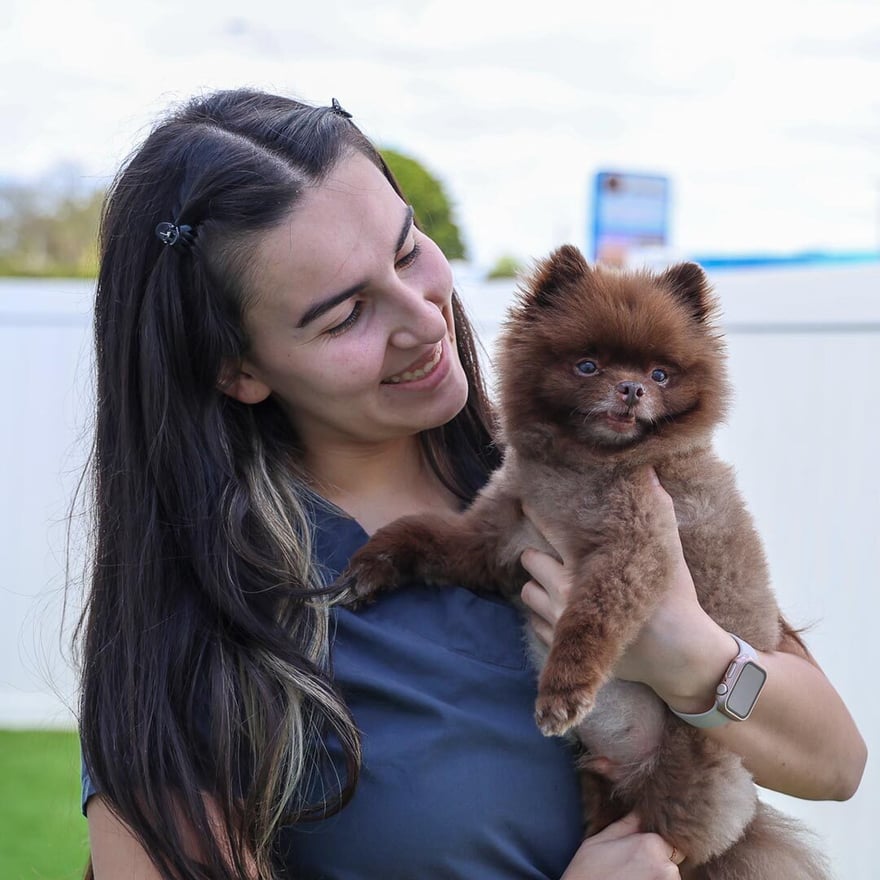 Atlantoaxial Subluxation (AA) in Dogs & Cats in South Florida and ...