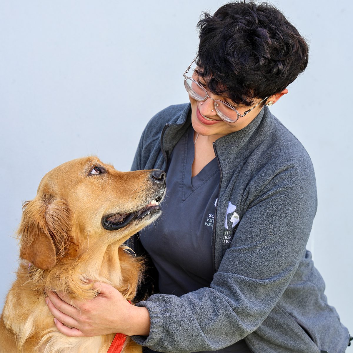 Pet Neurological Care in South Florida and Virginia Beach