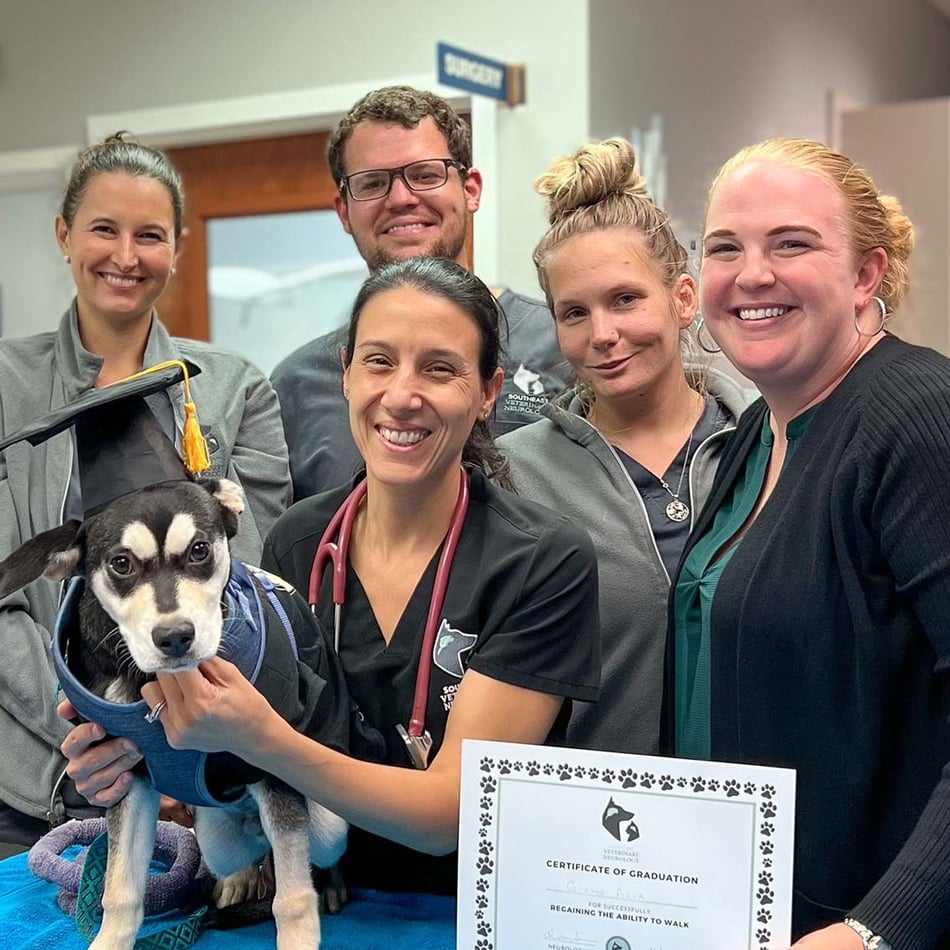 Pet Neurological Care in South Florida and Virginia Beach