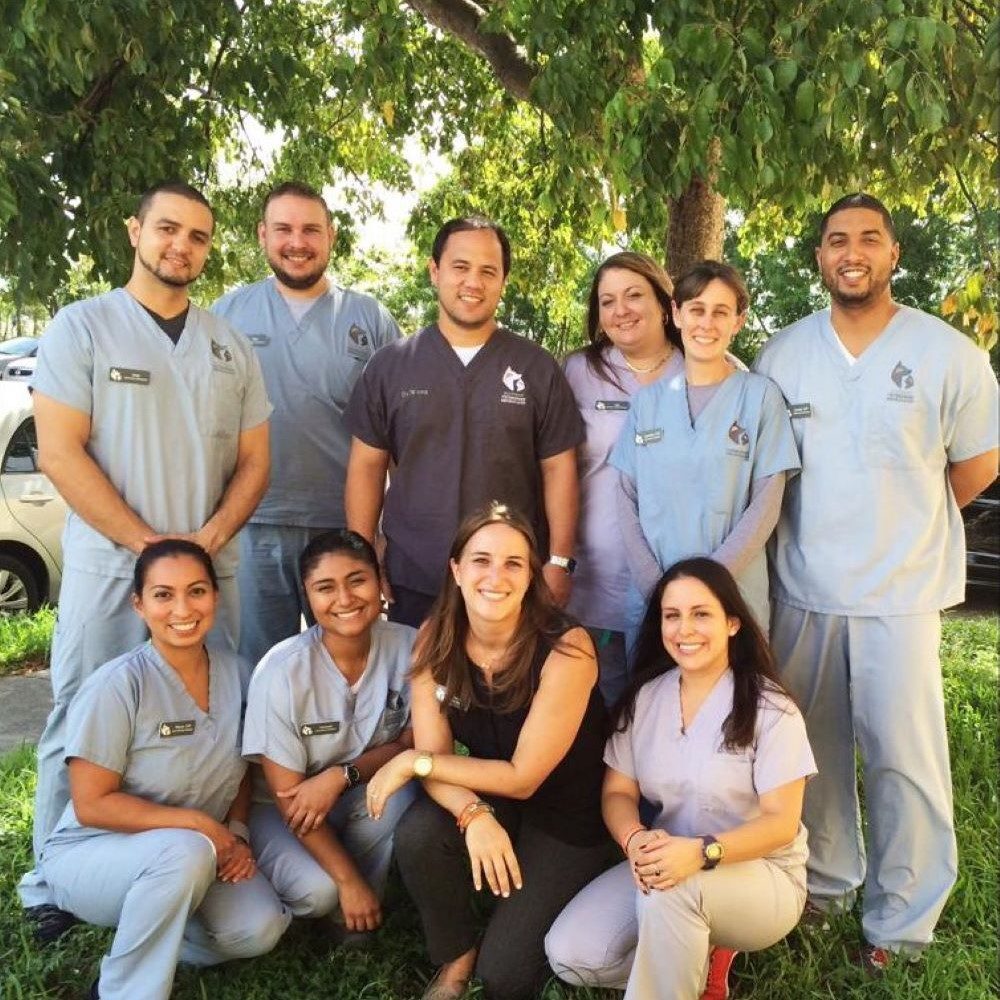 The SEVN Story | Southeast Veterinary Neurology