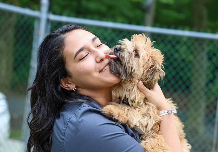 Our Values | Southeast Veterinary Neurology