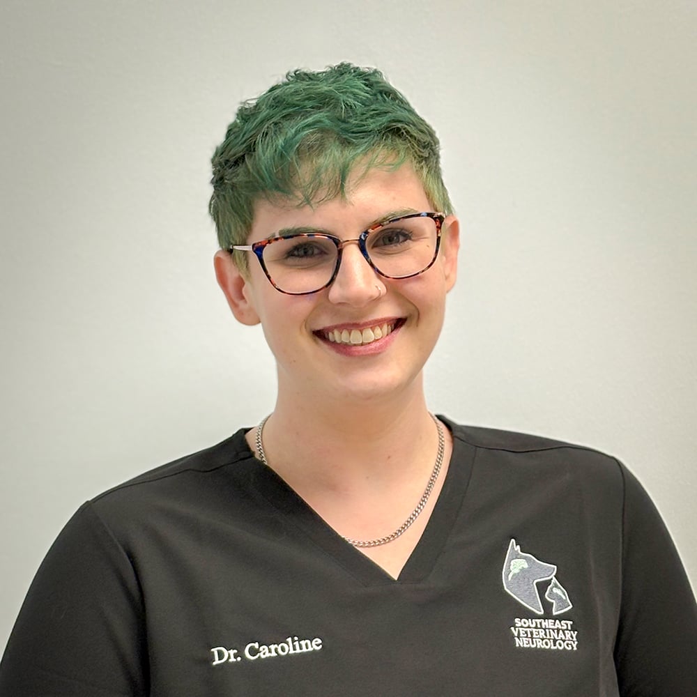Veterinary Neurologist in Virginia Beach, VA | Southeast Veterinary ...
