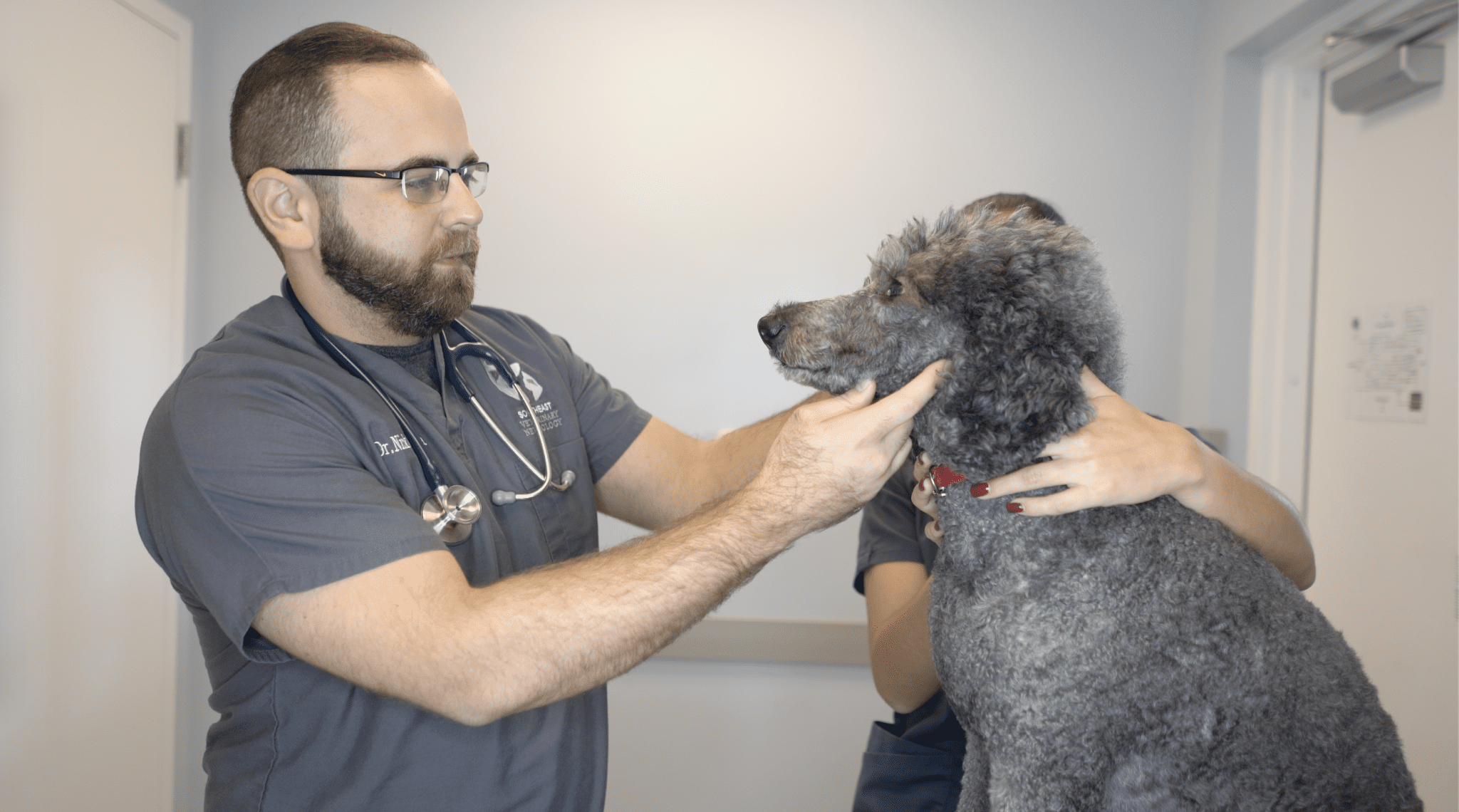 4 Reasons for Sudden Behavior Change in Dogs | Southeast Veterinary ...