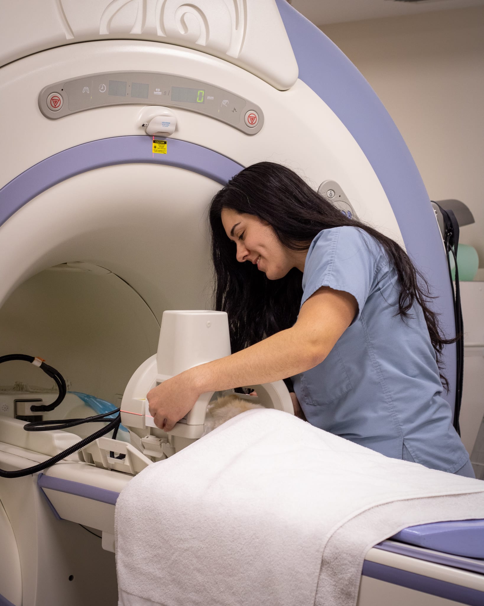 What Triggers Seizures in Dogs? | Southeast Veterinary Neurology