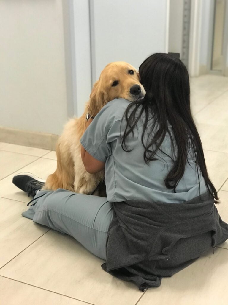 10 Common Brain Tumor Symptoms in Dogs | Southeast Veterinary Neurology