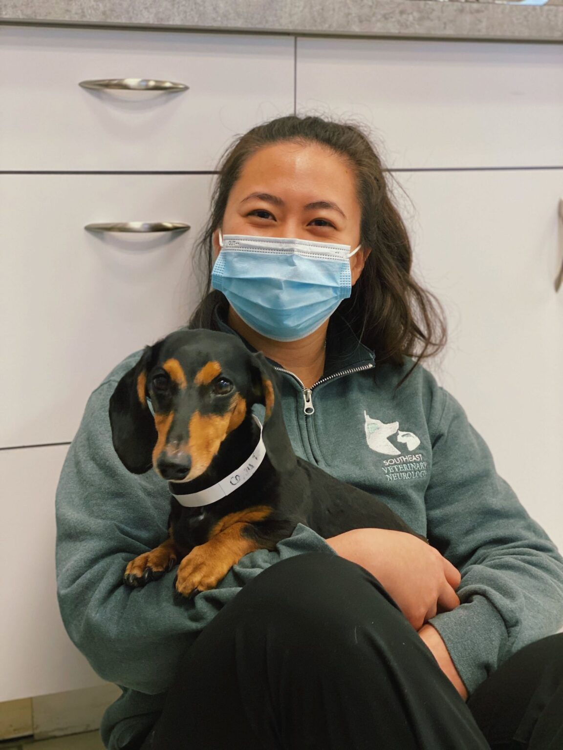 Dog Herniated Disc: Signs and What to Do | Southeast Veterinary Neurology