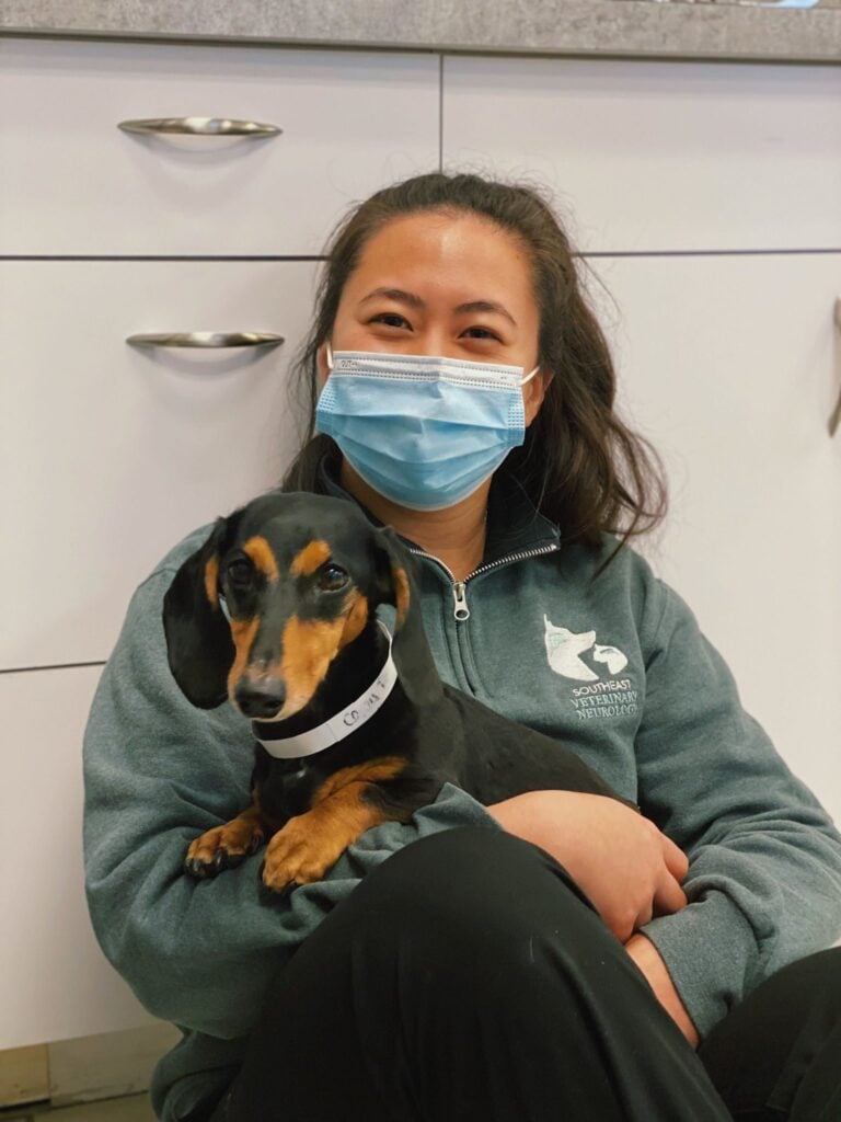 Dog Herniated Disc: Signs and What to Do | Southeast Veterinary Neurology